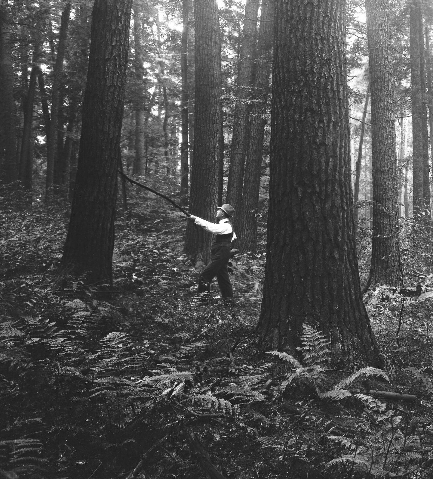 Gateway Lodge | Enjoy a Delicious Farm-to-Forest Culinary Experience