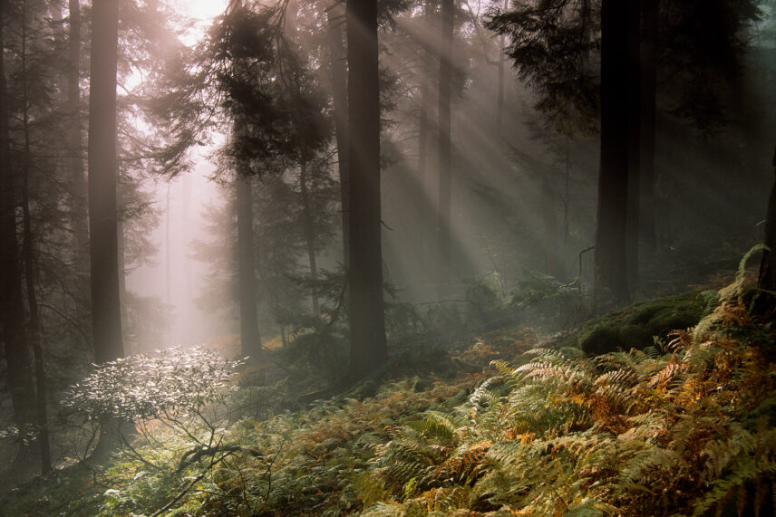 Nature Photographer Kevin Kaltenbaugh | Gateway Lodge