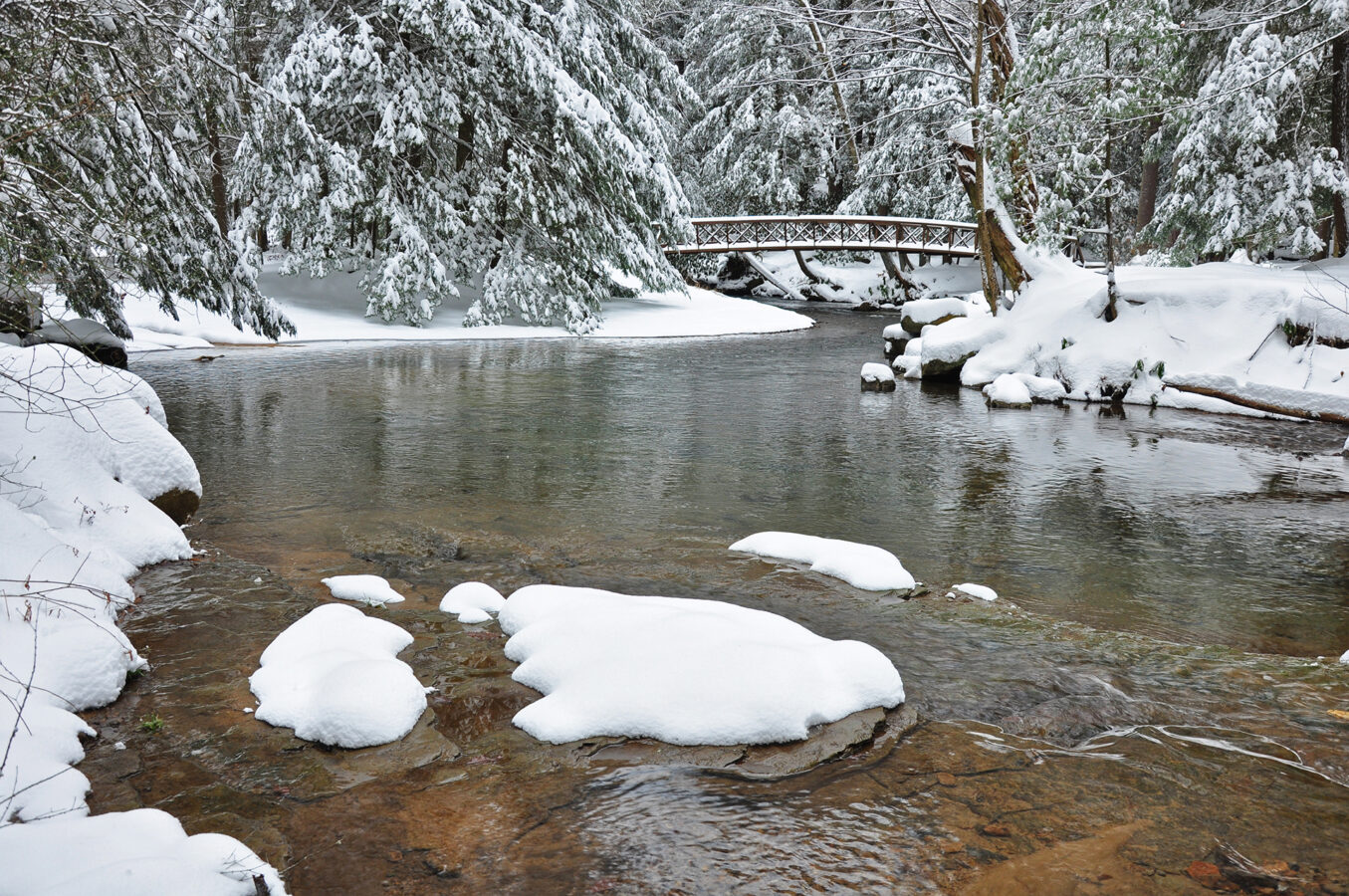 Nature Photographer Kevin Kaltenbaugh | Gateway Lodge